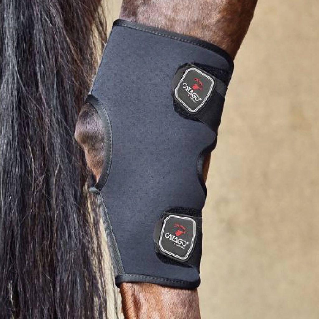 Accessories – Catago